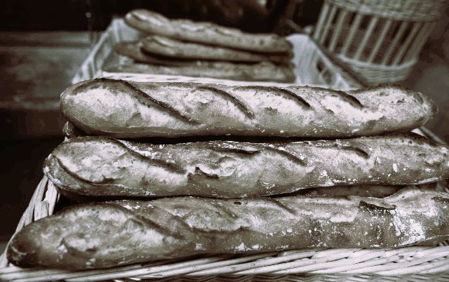 Dishwasher Dialogues, Genius of Bread and Books - Gregory Light and ...